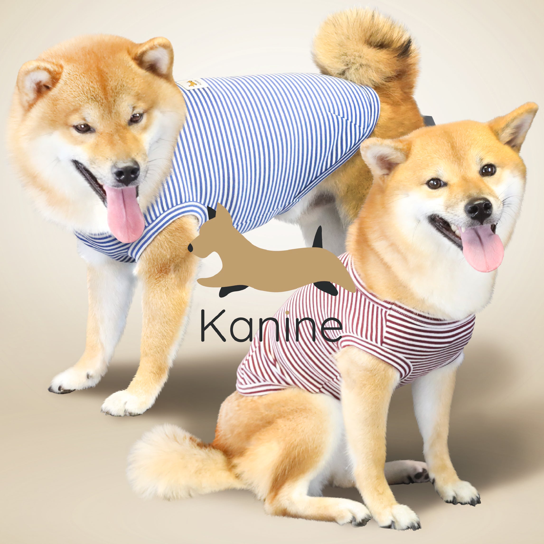 Kanine – Wag World