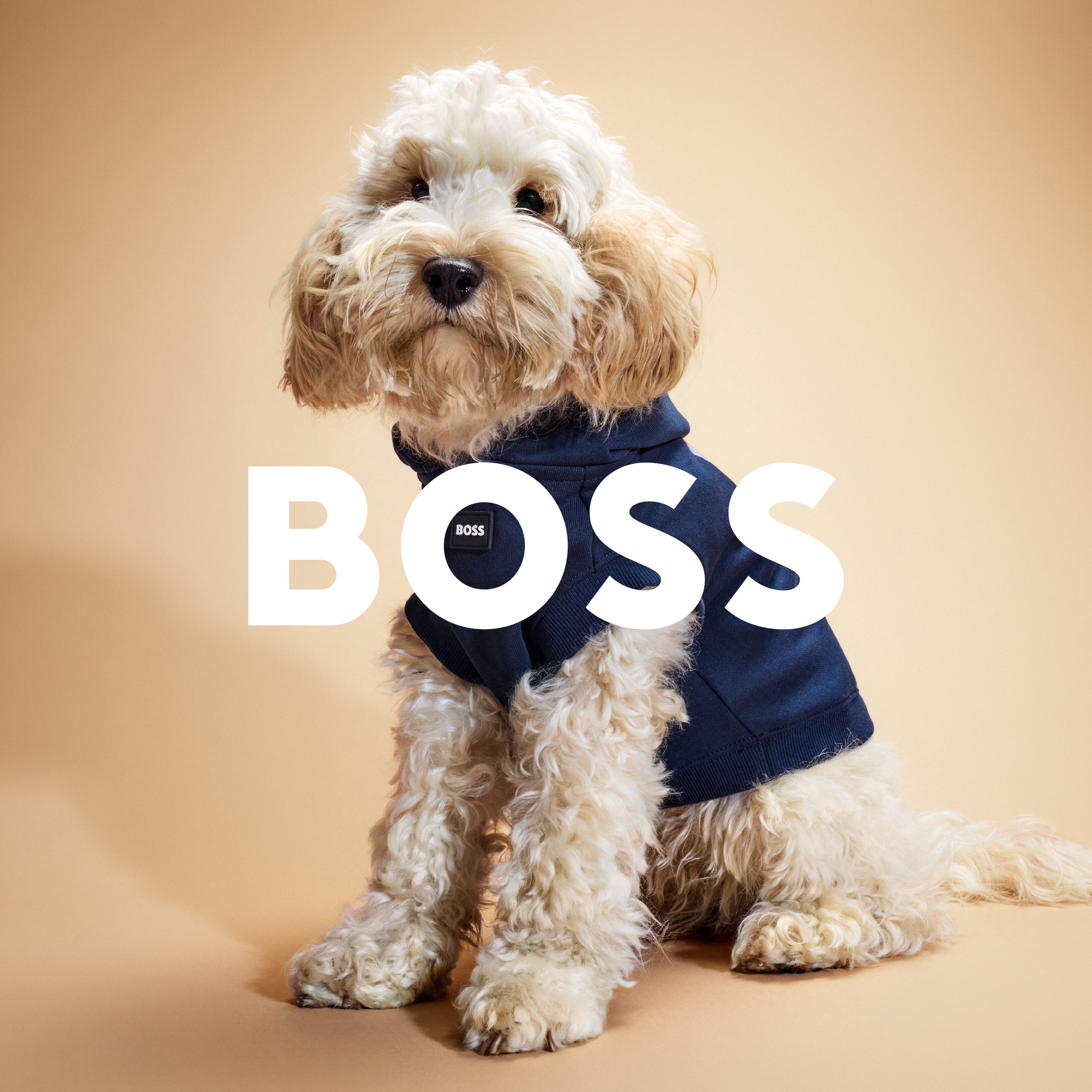 BOSS – Wag World