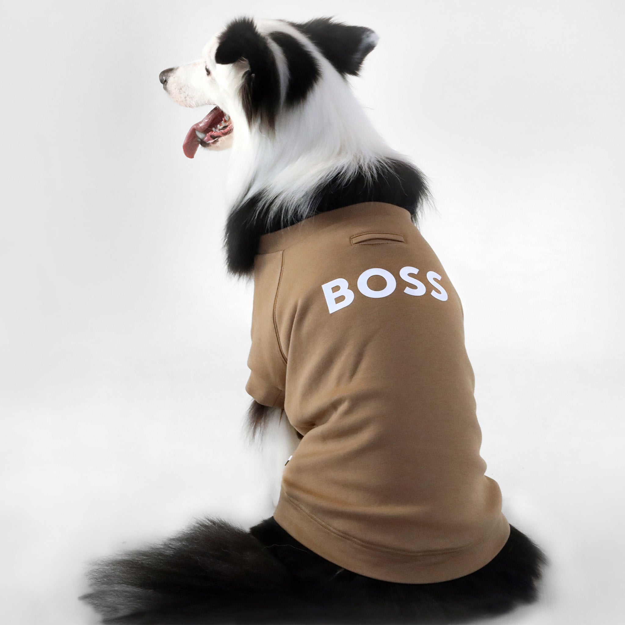 BOSS – Wag World